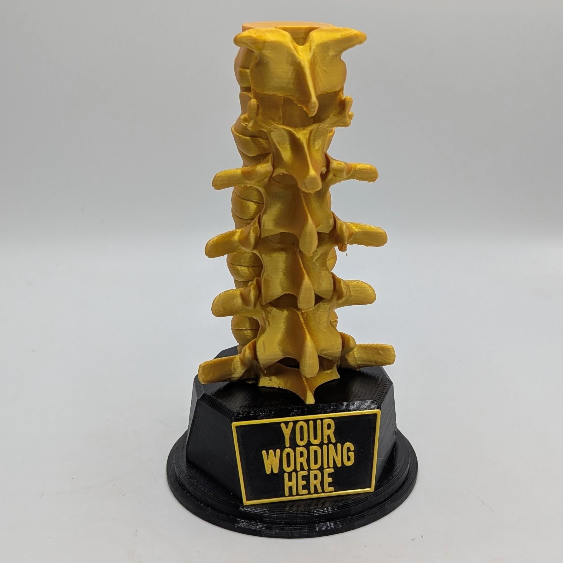 Personalised Spine Trophy, Spinal Column Trophy, Doctor Trophy Award ...
